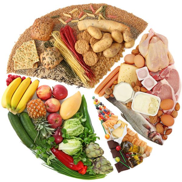 Tour of Ann Arbor: Food Edition - MLC