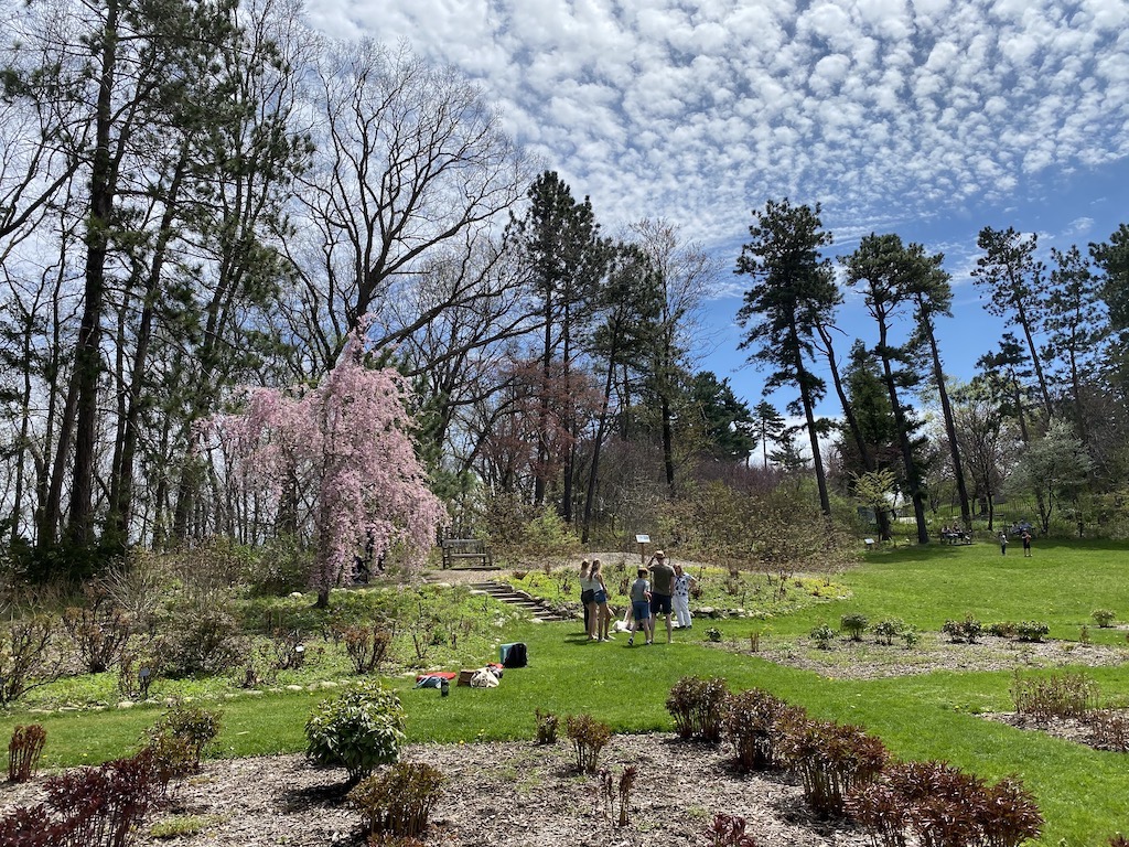 MLC family’s 10 favorite things to do and places in Ann Arbor! - MLC